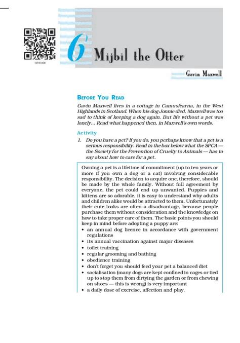 Ncert Book Class 10 English First Flight Chapter 6 The Hundred Dresses