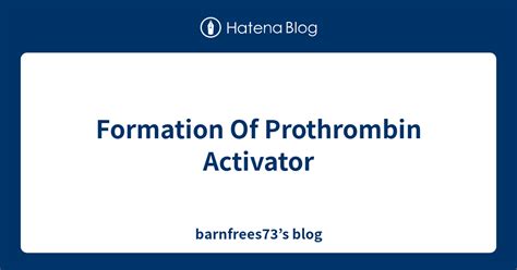 Formation Of Prothrombin Activator Barnfrees73s Blog