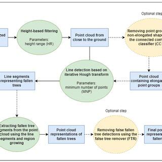 The Steps Of Fallen Tree Detection Refer To Table For A Detailed Download Scientific Diagram