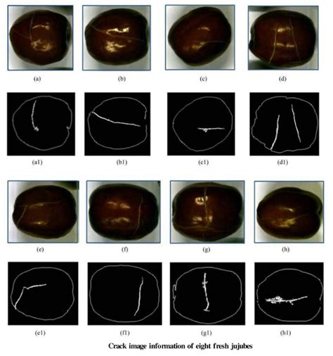 应用案例 涂料行业（塑胶、油墨、金属、玻璃、纺织印染、食品、化妆品） 彩谱品牌厂商