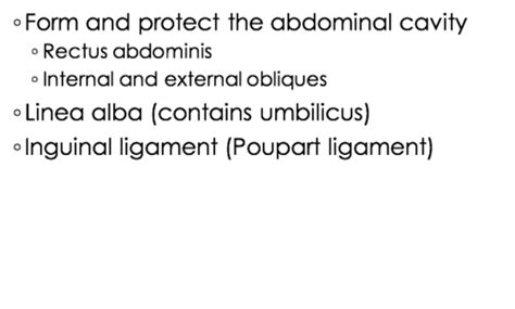 Pa Ii Gi Exam Flashcards Quizlet