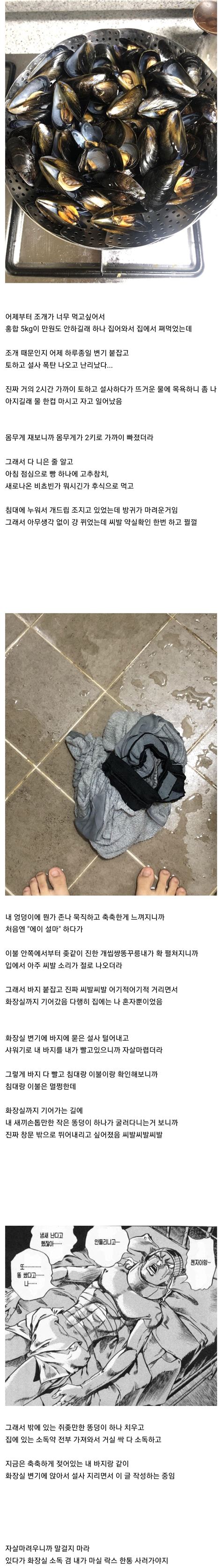 바지에 똥 지린 개붕이  유머 움짤 이슈 에펨코리아