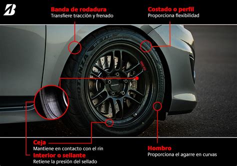 Partes De Una Llanta De Carro