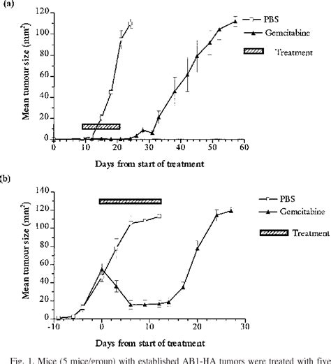 Figure 1 From Gemcitabine Exerts A Selective Effect On The Humoral Immune Response Implications