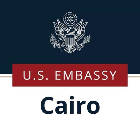 Basma Kamel On Linkedin Hr Internship