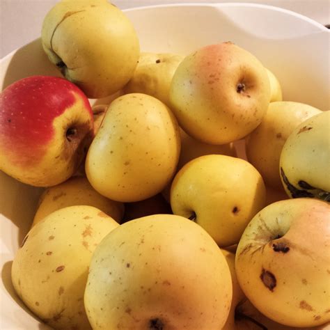 Buono non sempre è bello Il cibo buono da chi produce