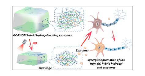 Injectable And Self Healable Thermoresponsive Hybrid Hydrogel Constructed Via Surface Modified