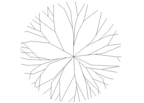 Autocad Plan Of The Tree 2d Model