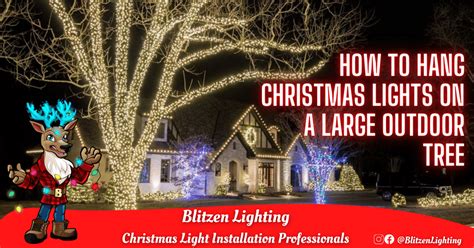 How To Hang Christmas Lights On A Large Outdoor Tree Blitzen Lighting