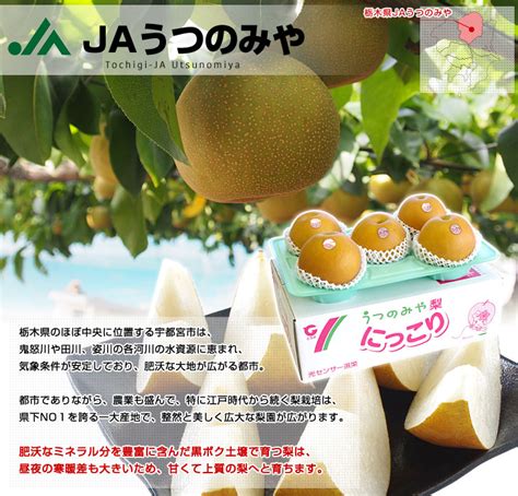 【楽天市場】産地から選ぶ 関東地方 栃木県から産地直送 Jaうつのみや：産直だより