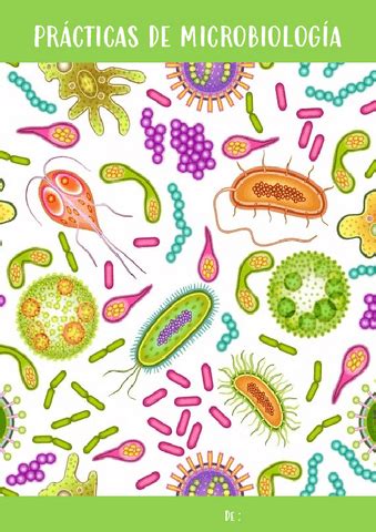 PRACTICAS DE MICROBIOLOGIA Wuolah Pdf