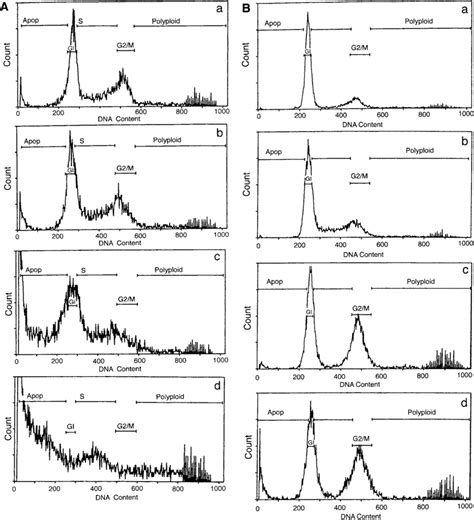 Dna Content Histograms Of Sindbis Virus Infected Bhk And C7 10 Cell