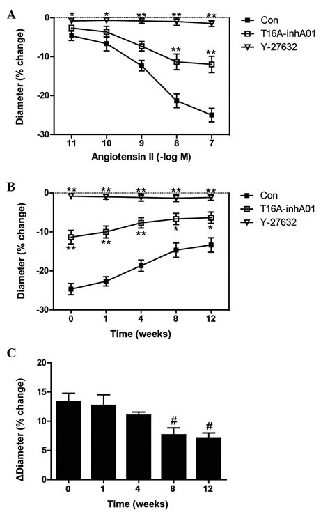 TMEM A Contributes To Angiotensin II Induced Cerebral Vasoconstriction Via The RhoA ROCK