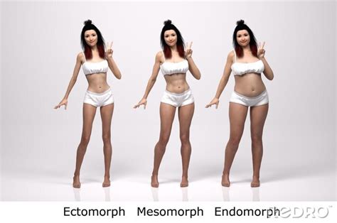 Ecto Mesomorph Female Ecto Mesomorph Top Female Workout