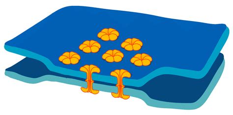 Gapjunctioniconposterpng