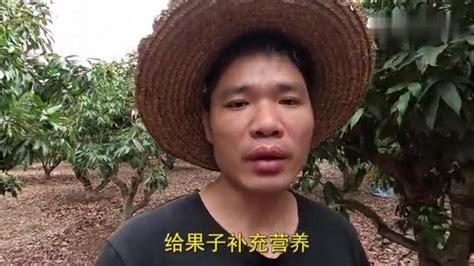 荔枝挂果别乱施肥，果品漂亮能卖好价钱，看果农如何施肥三农农民生活好看视频