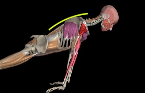 Home Body Alignment Studio Wirral