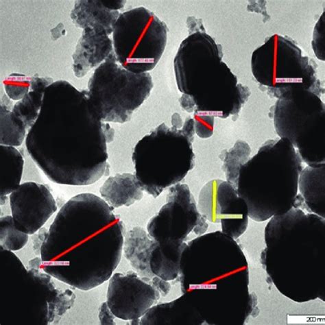Transmission Electron Microscope Images Eggshell Titanium Dioxide