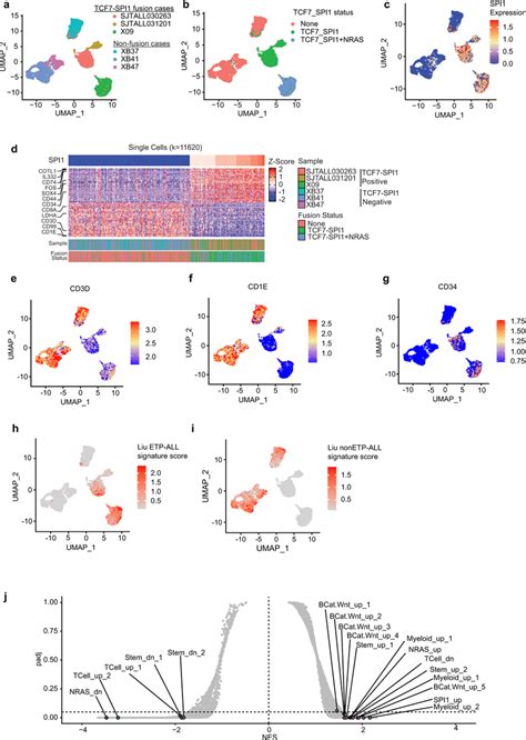 Single Cell Rna Sequencing Identifies That High Spi1 Expression Is