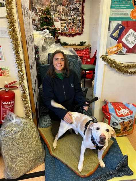 Grace Todd On Linkedin Its That Time Of Year Again Where I Get To Visit Our Local Rspca In…