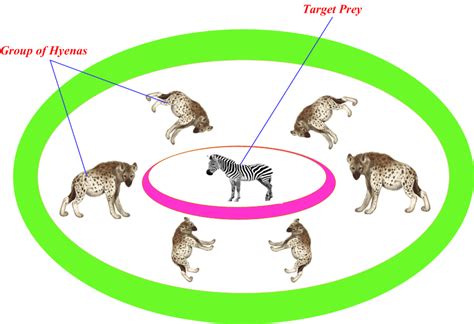 Spotted Hyena Optimization Sho Algorithm Mimicked From Hunting