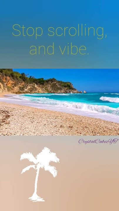 Stop Scrolling And Vibe Youtube