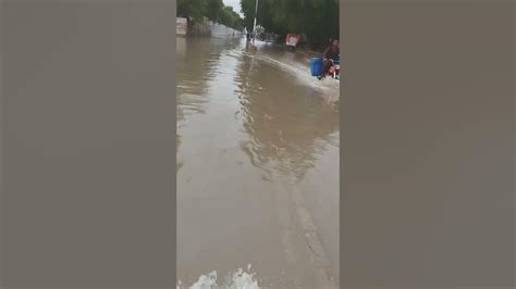 دادو شھر کي ھڪ سٺي ڊرينج سسٽم جي ضرورت آھي، متفق آھيو تہ شيئر ڪيو