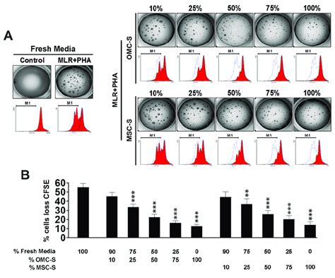 The Omc Derived Secretome Inhibits Mouse Lymphocytes Proliferation A