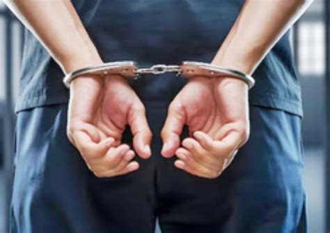 Seven ‘cattle Smugglers Arrested In Odisha Orissapost