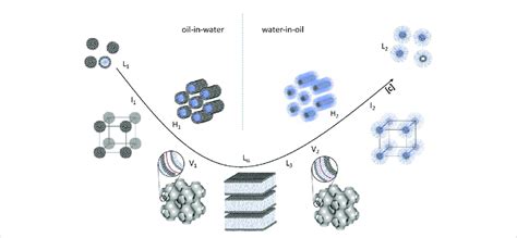 Various Lipid Liquid Crystalline Phases Llc From Left To Right