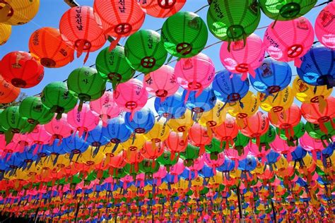 연등 불교 사찰 부처님오신날 축제 사진 이미지 일러스트 캘리그라피 Hys작가