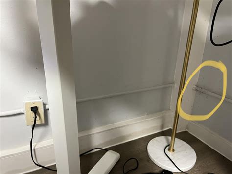 Drain Flies Rpests