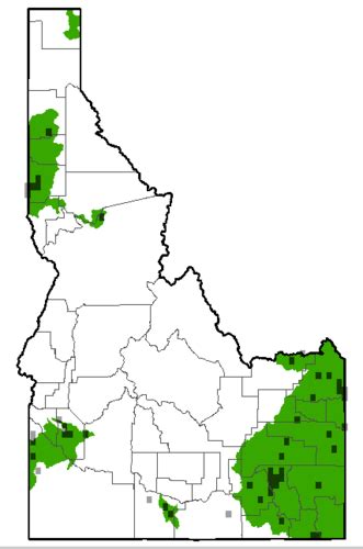 Distribution Of Amphibians And Reptiles Flashcards Quizlet