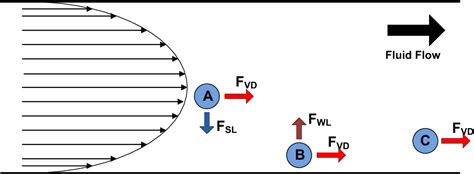Figure 2 From Inertial Microfluidics For Continuous Particle Separation