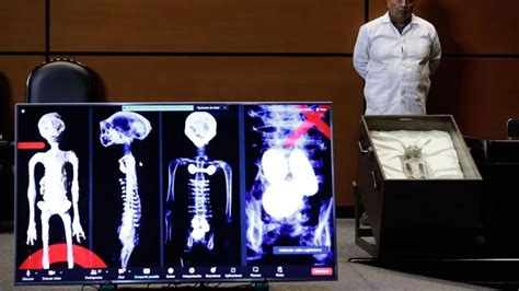 Muestran Cuerpos De Seres No Humanos En Cámara De Diputados