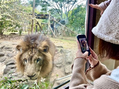壽山動物園花55億整修！他去完嘆：重裝潢的養老院 園方說話了 Ettoday生活新聞 Ettoday新聞雲