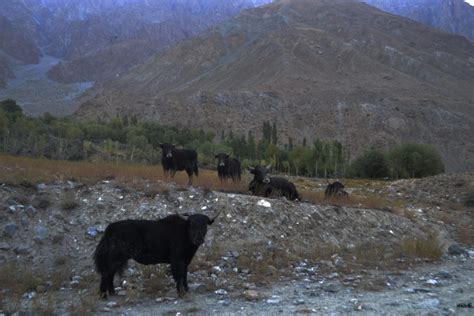 To Shandur Pass Top From Chitral Pakistan How 2 Have Fun
