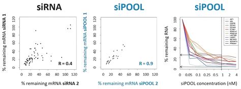 Sipools（一款高效、特异性好的rnai试剂，可有效消除脱靶效应）sirna Pool Csdn博客