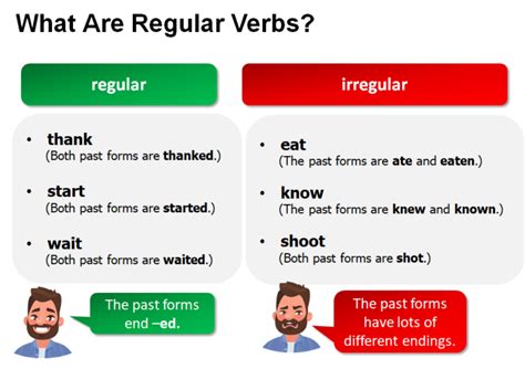 Cách dùng động từ có quy tắc Regular Verbs và bất quy tắc Irregular