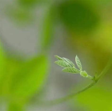 兰州人，未来一周，气温降低还有雨小到中雨白天浮尘