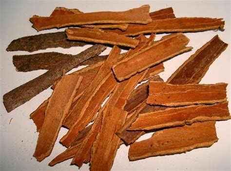 Facts Fun Benefits Of Cinnamon