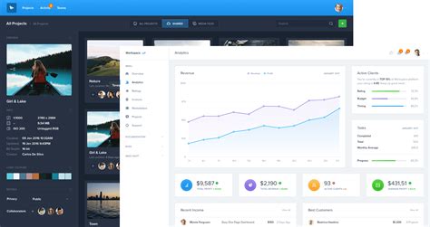 dashboard ui kit 2017 jan losert store