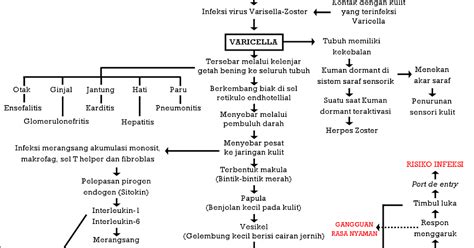 LP Varicella Paduka Id