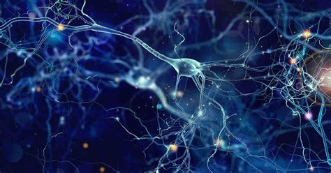 Scientists Develop Neural System For Brain Machine Interface The Intelligencer