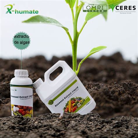 Liquid Seaweed Fertilizer Ascophyllum Nodosum Liquid