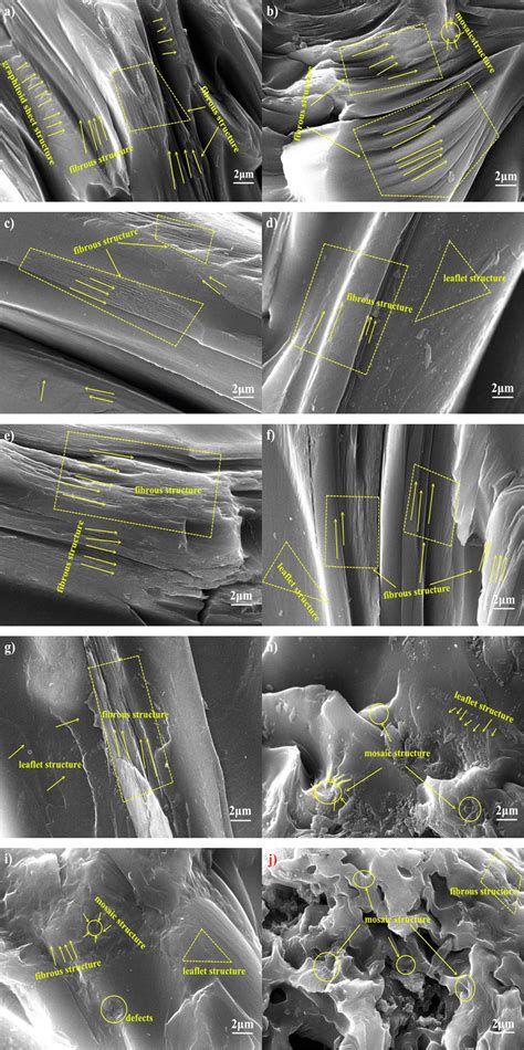 SEM Micrographs Of A CTP 1 C B CTP 2 C C CTP 3 C D CTP 4 C Download Scientific