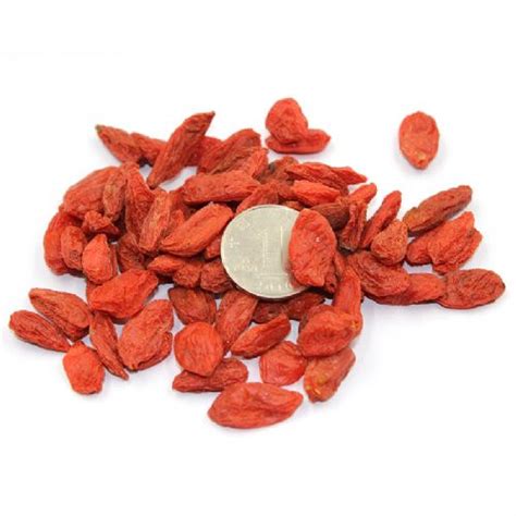 青海诺木洪散装红枸杞 红枸杞 500g 青海红枸杞