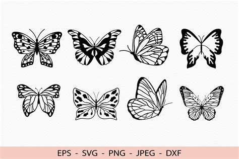 Butterfly Svg Outline Moth File Cricut Graphic By Greatsvg By Elena
