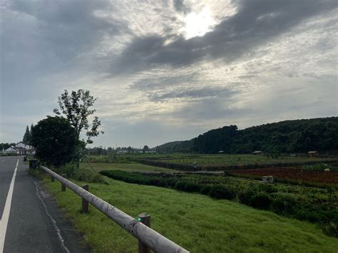 打卡夕阳下的盐湖城 常州旅游攻略 游记 去哪儿攻略