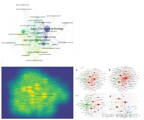 基于citespace和vosviewer文献计量学可视化sci论文高效写作方法 开启从小白到精通的基于文献计量学论文写作之旅综述文章主题
